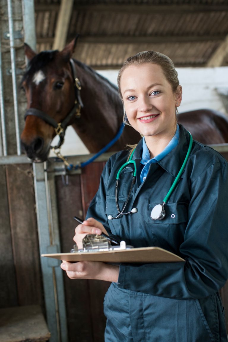 How many vet practices in the UK? - Vital Pet Club